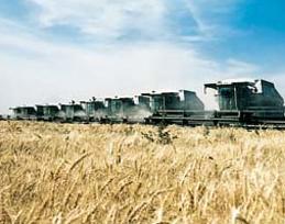 Farming a costly venture – TFRASHEED.ORG